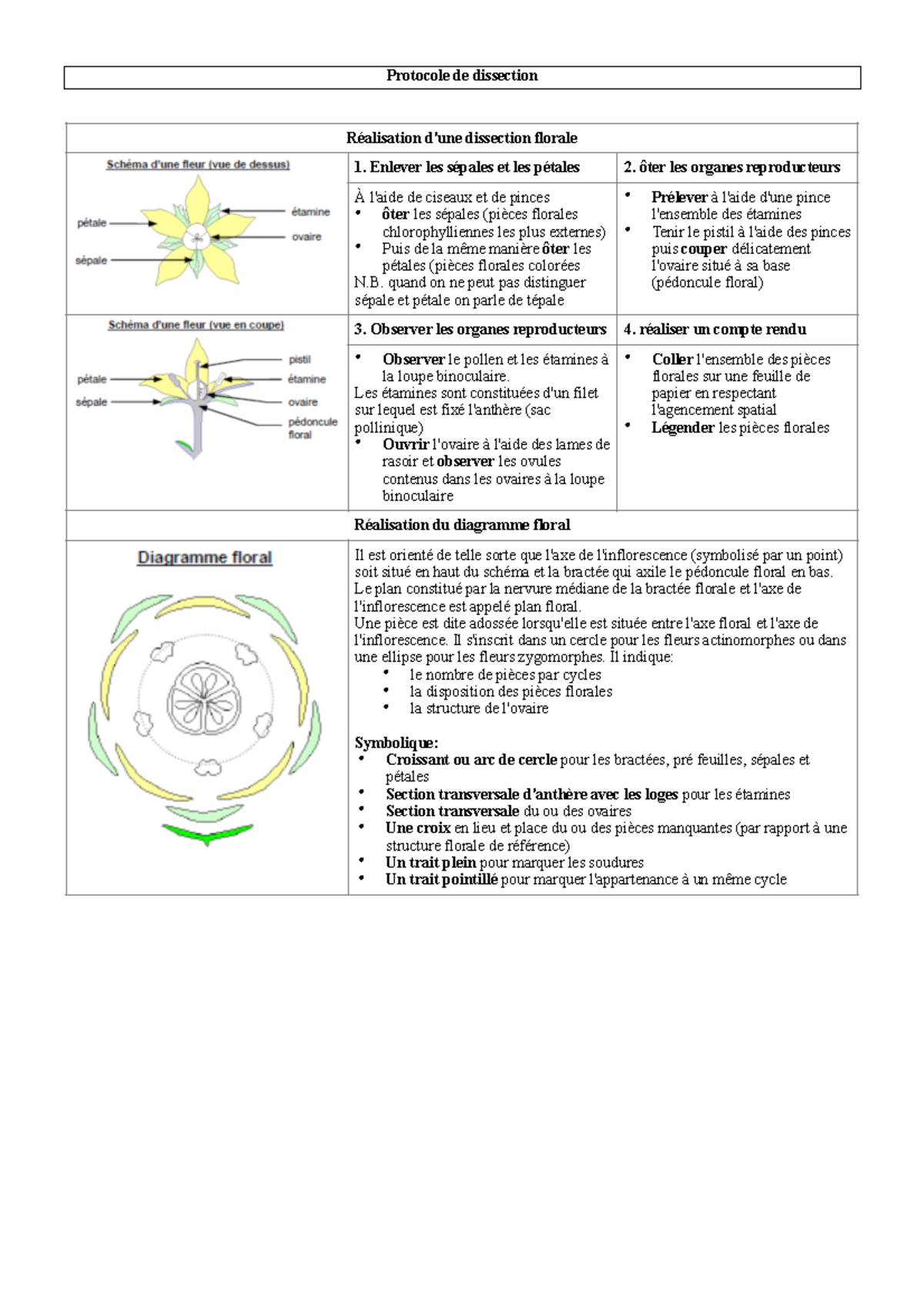 Protocole de dissecton d'une fleure - Protocole de dissection ...