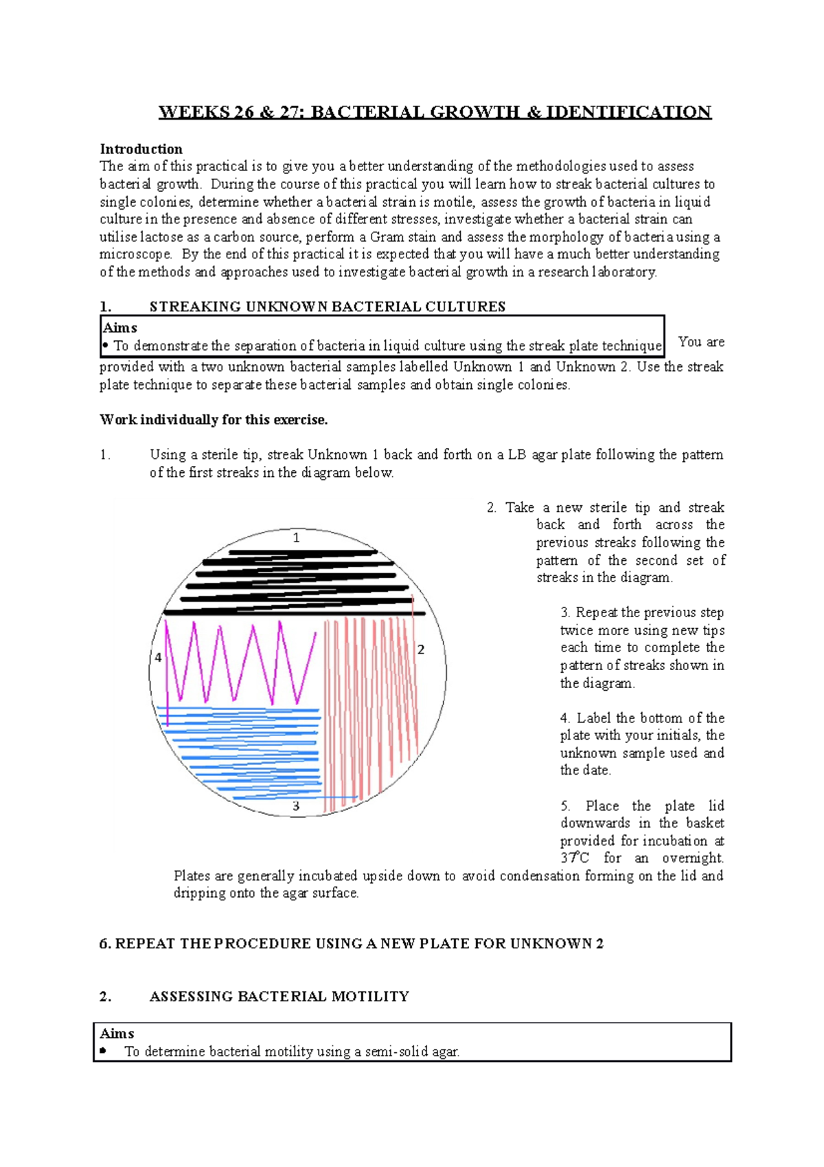 Practical 1 Bacterial Growth - BI25M5 - Abdn - Studocu