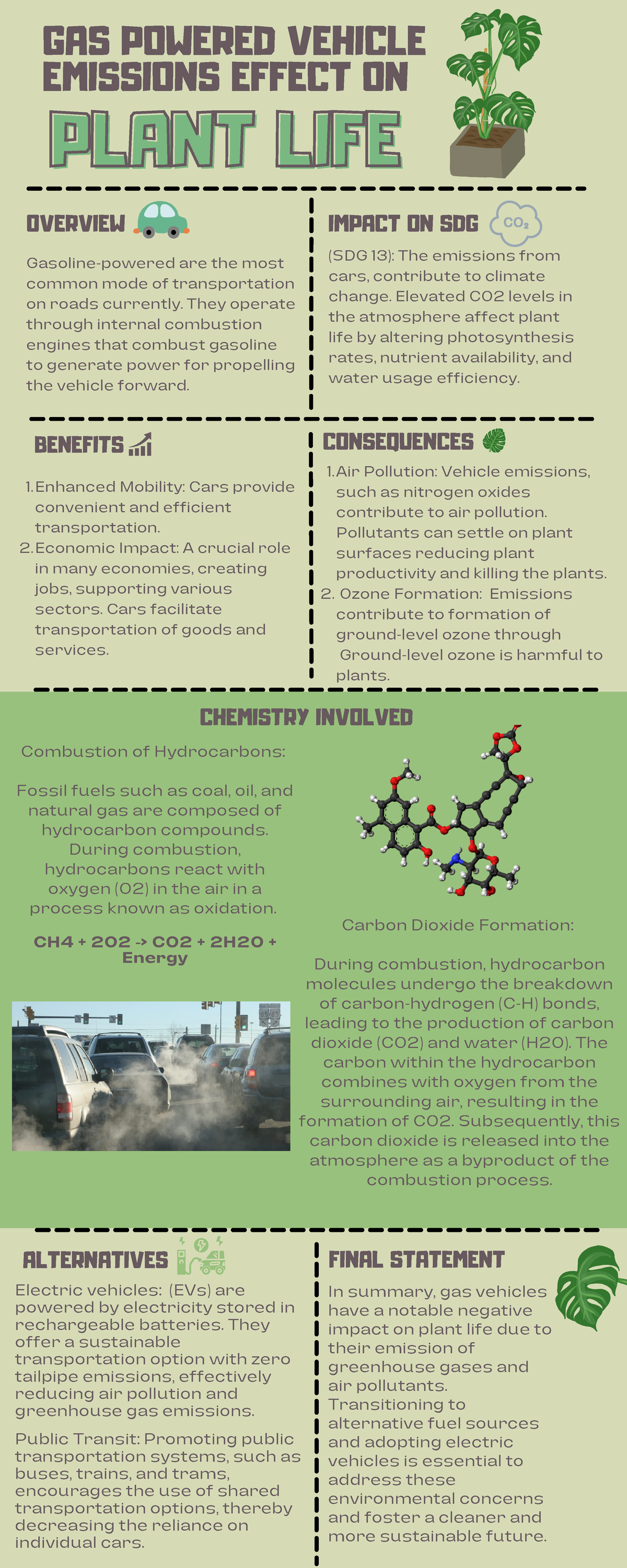 Green & Brown Monstera Plant Fun Facts Infographic - BENEFITS PLANT ...