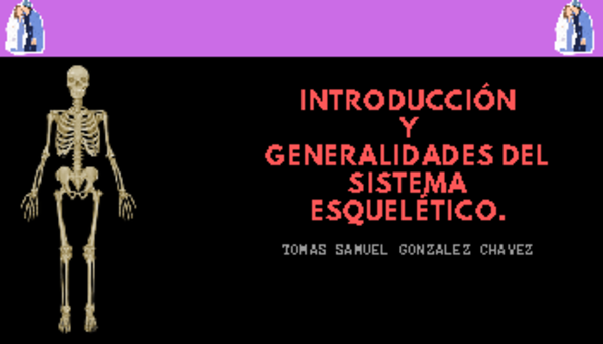 Sistema esquelético - Diapositivas - INTRODUCCIÓN Y GENERALIDADES DEL ...