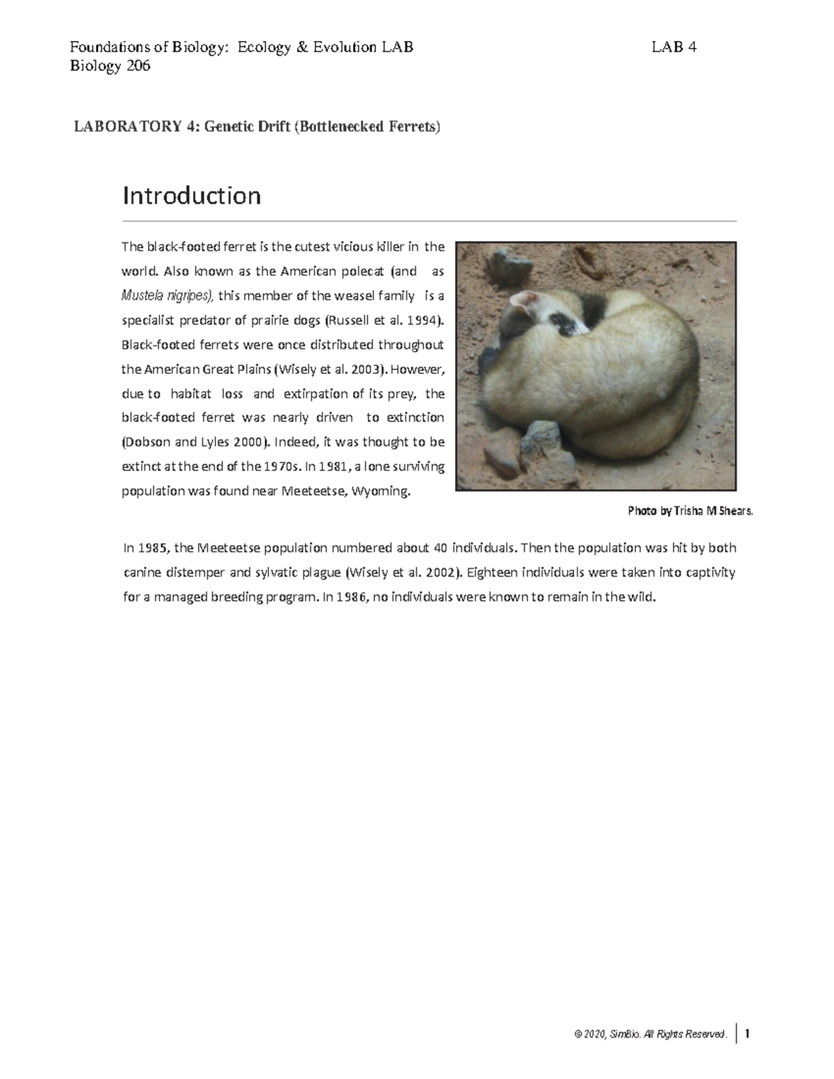 Lab 4 Genetic Drift (Online) - Warning: TT: undefined function: 32 Warning: TT: undefined ...