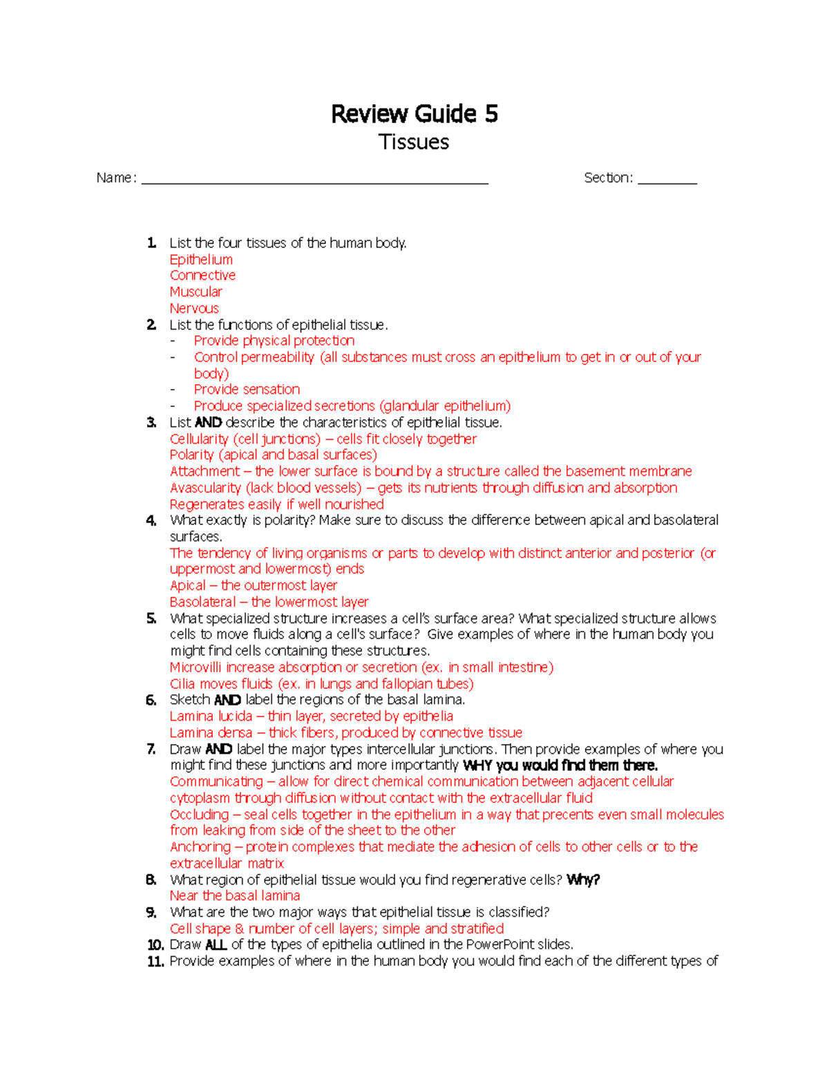 Review Guide 5 Tissues - Notes for week 5 - Review Guide 5 Tissues Name ...