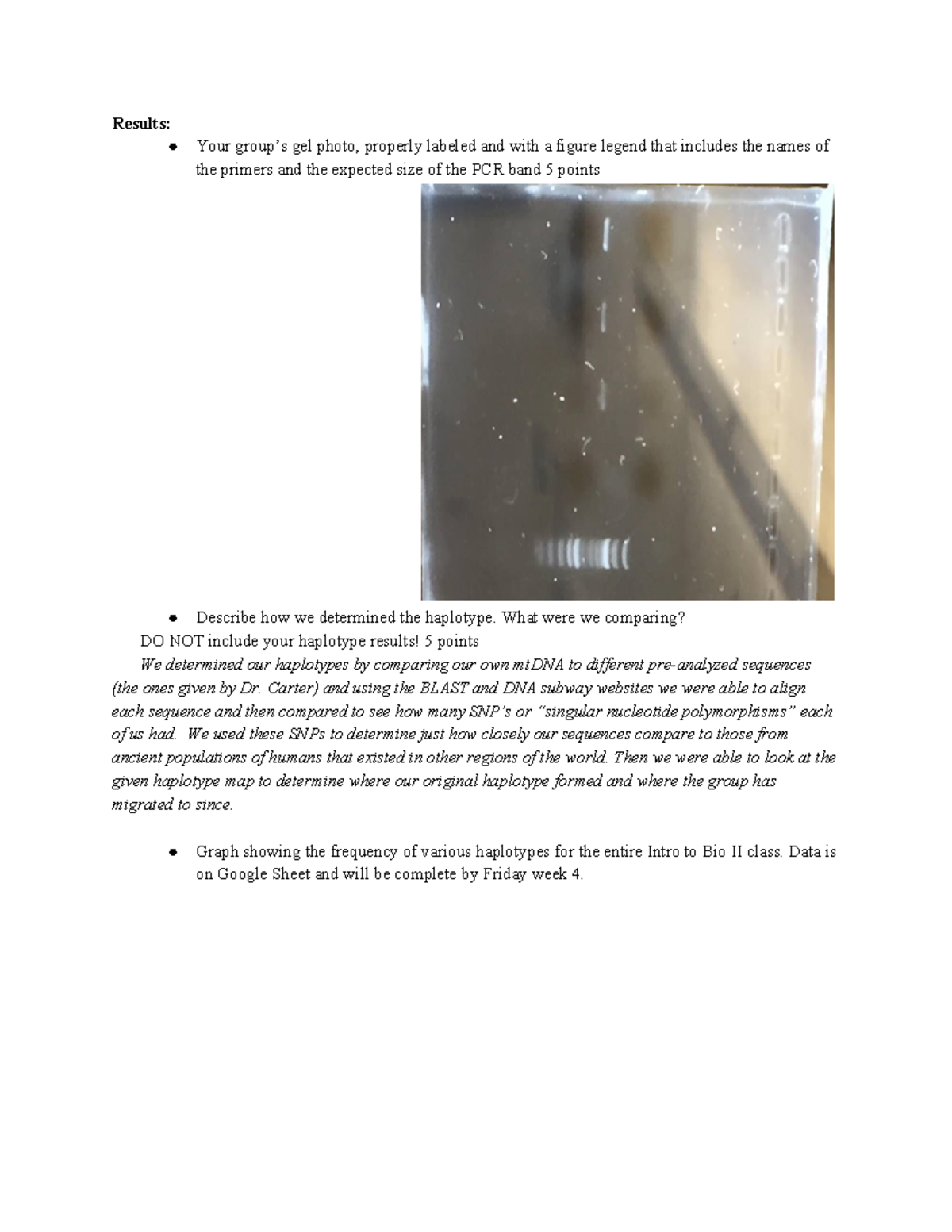 Bio Lab - Lab writeup example - Results: Your group’s gel photo ...