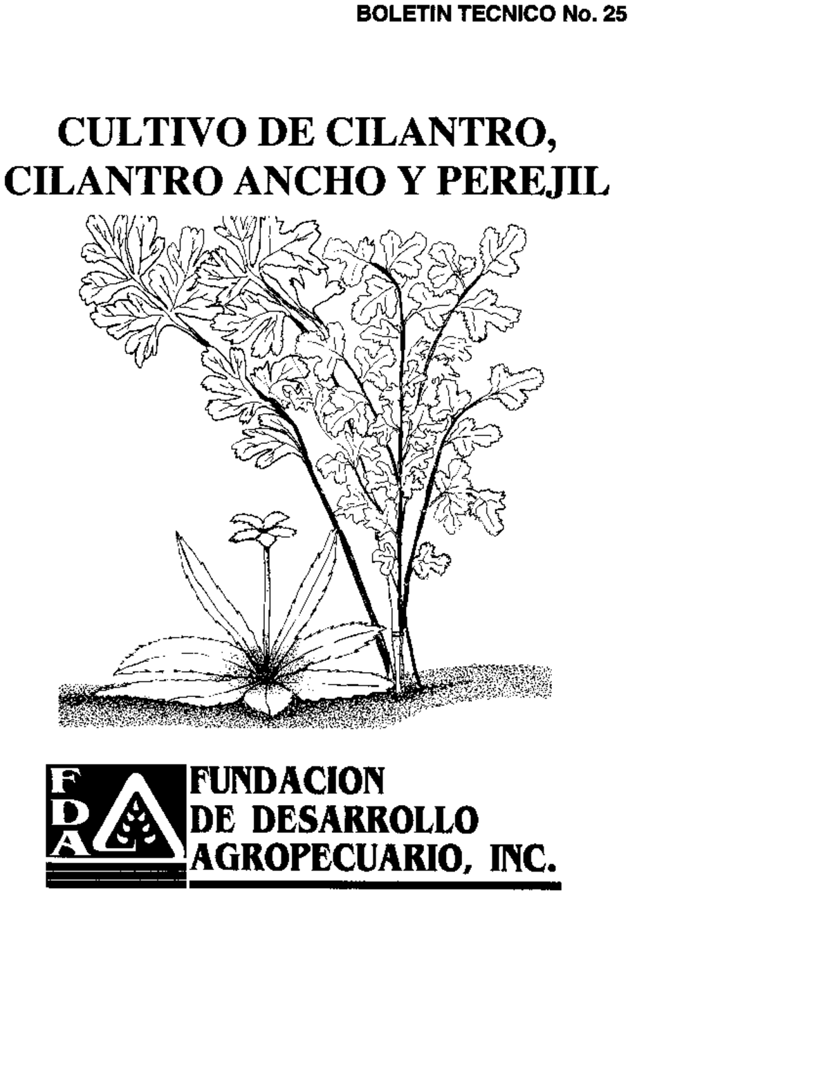 Cilantro, Cilantro ancho y Peregil - BOLETIN TECNICO No. 25 CULTIVO DE ...