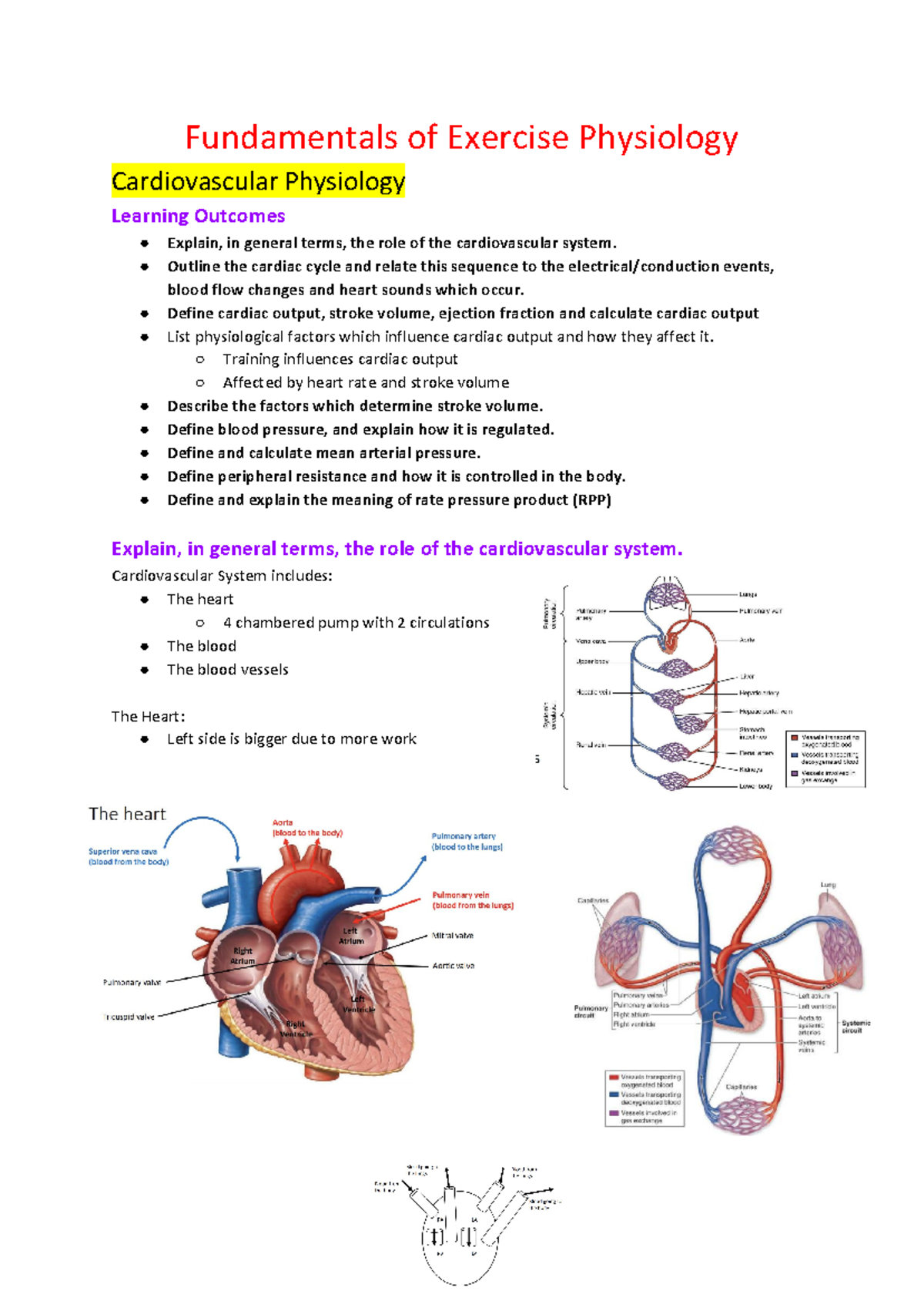 Fundamentals of Exercise Physiology - Fundamentals of Exercise ...