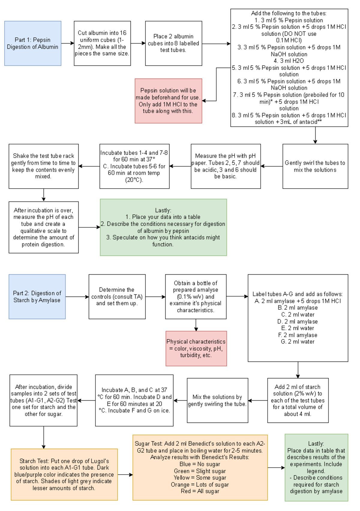 Lab 1 Flowchart - Part 1: Pepsin Digestion of Albumin Place 2 albumin ...