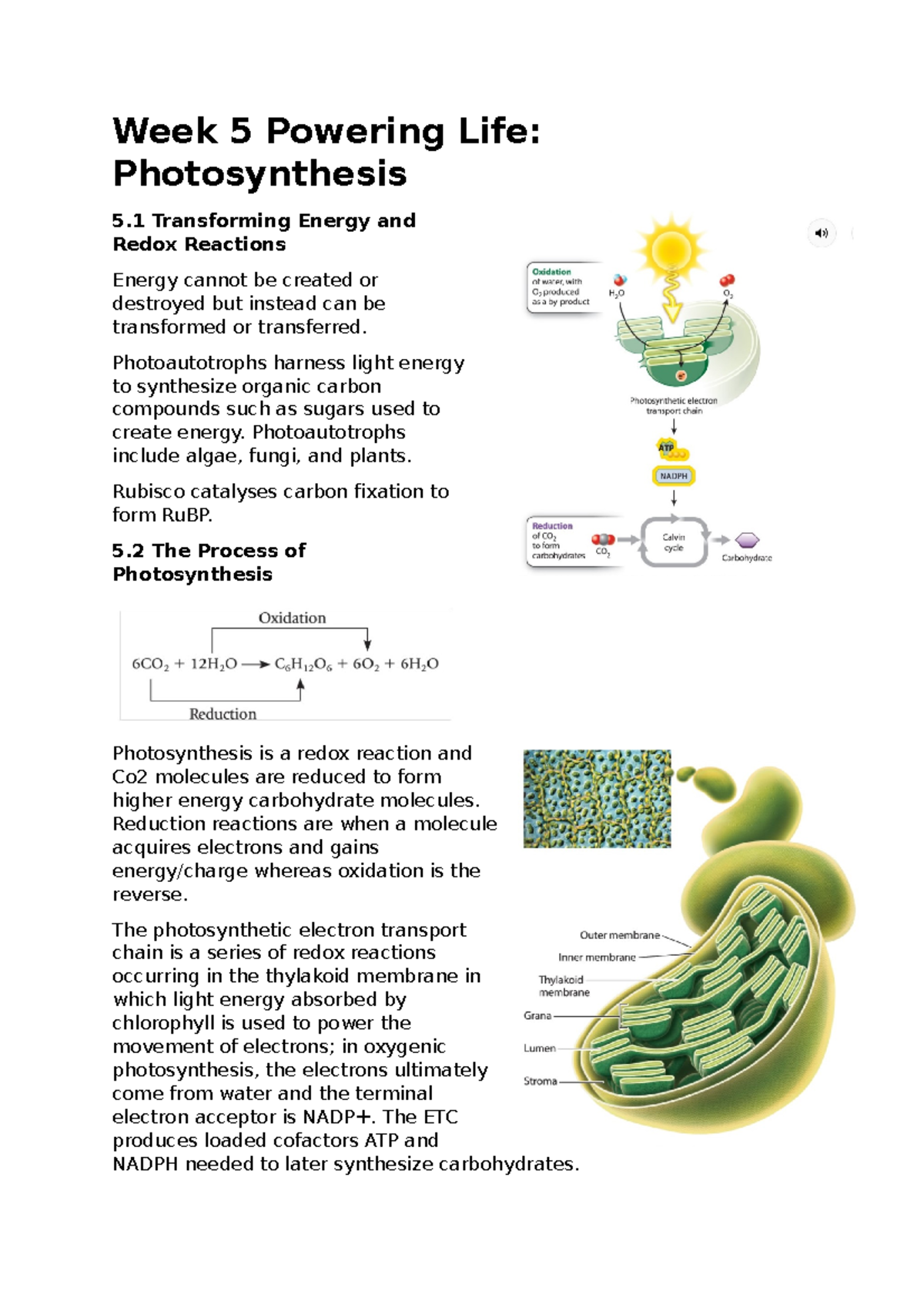 Week 5 Powering Life - notes - Week 5 Powering Life: Photosynthesis 5 ...