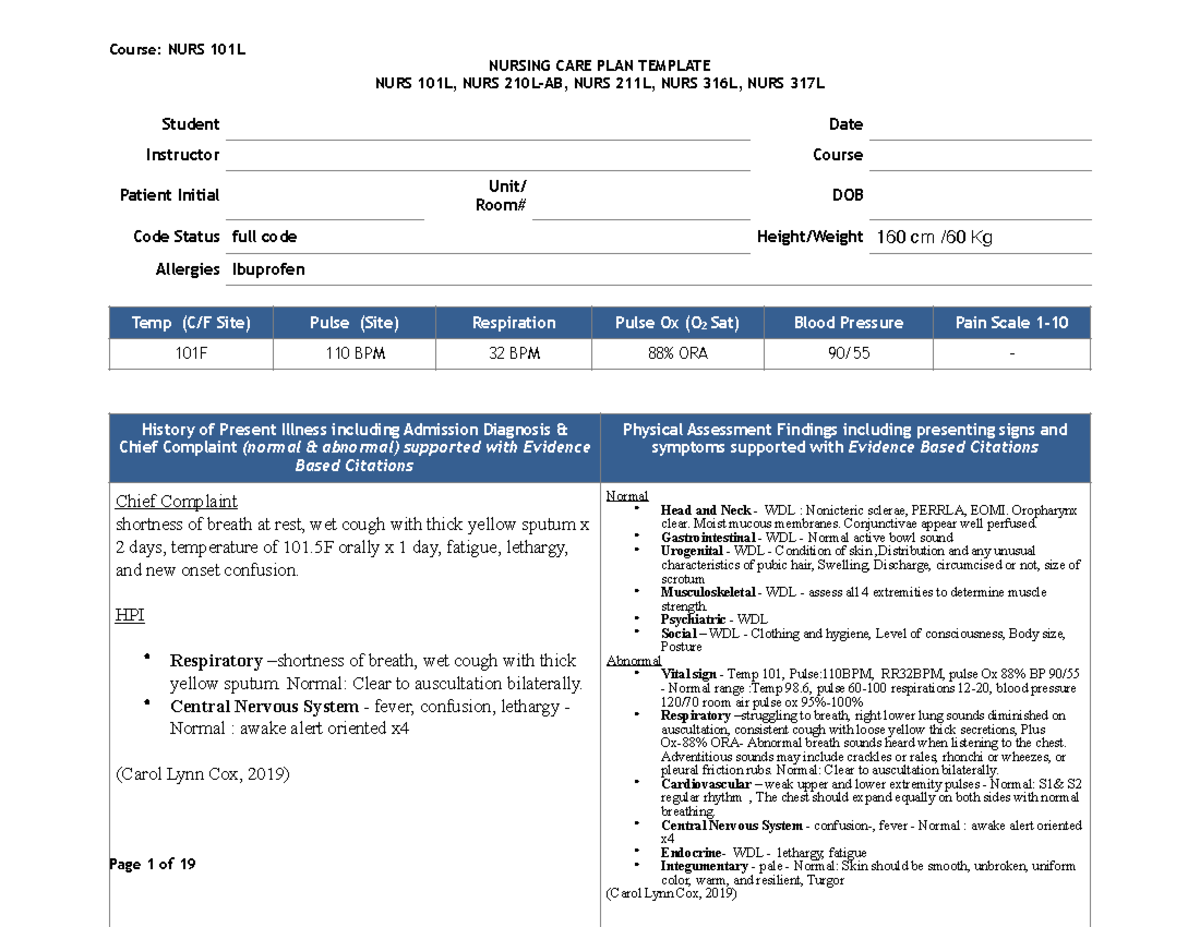 Template 101 L - care plan - NURSING CARE PLAN TEMPLATE NURS 101L, NURS ...