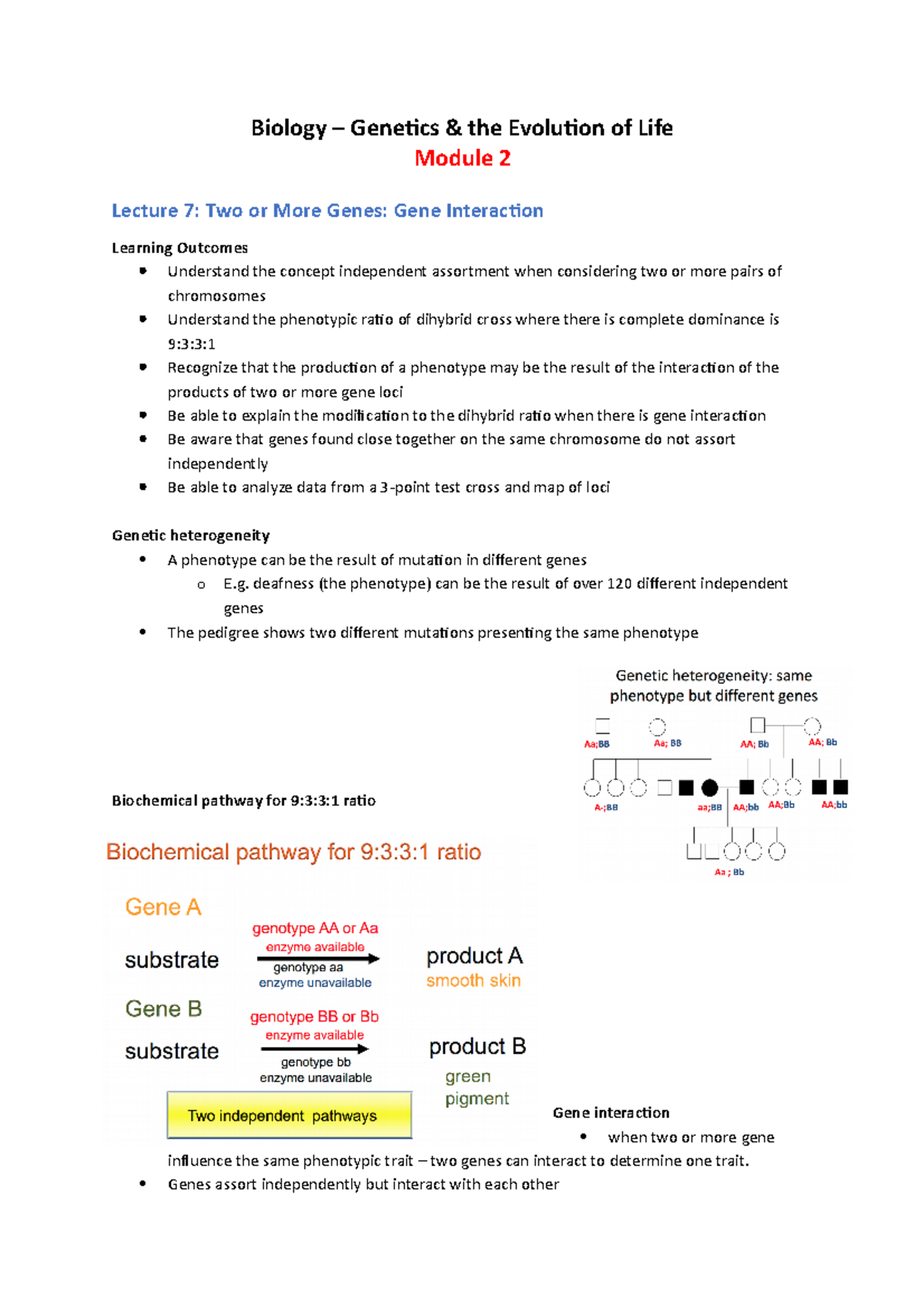 BIO - Genetics & Evolution of Life - Module 2 - Biology – Genetics &amp ...