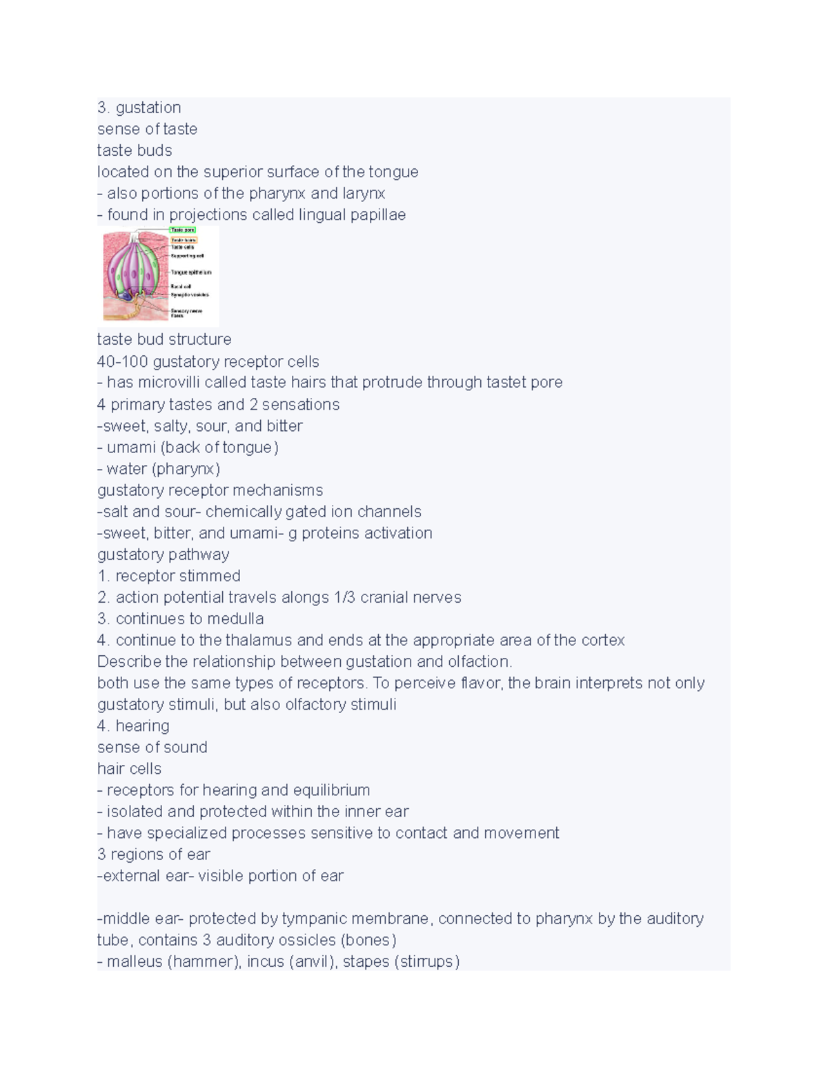 Human Anatomy and Physiology notes - gustation sense of taste taste ...