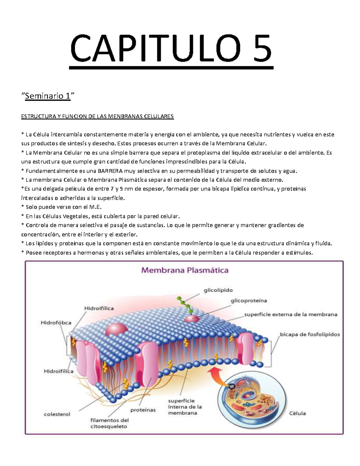 Capítulo 5 ( Resúmen DE Seminarios) - CAPITULO 5