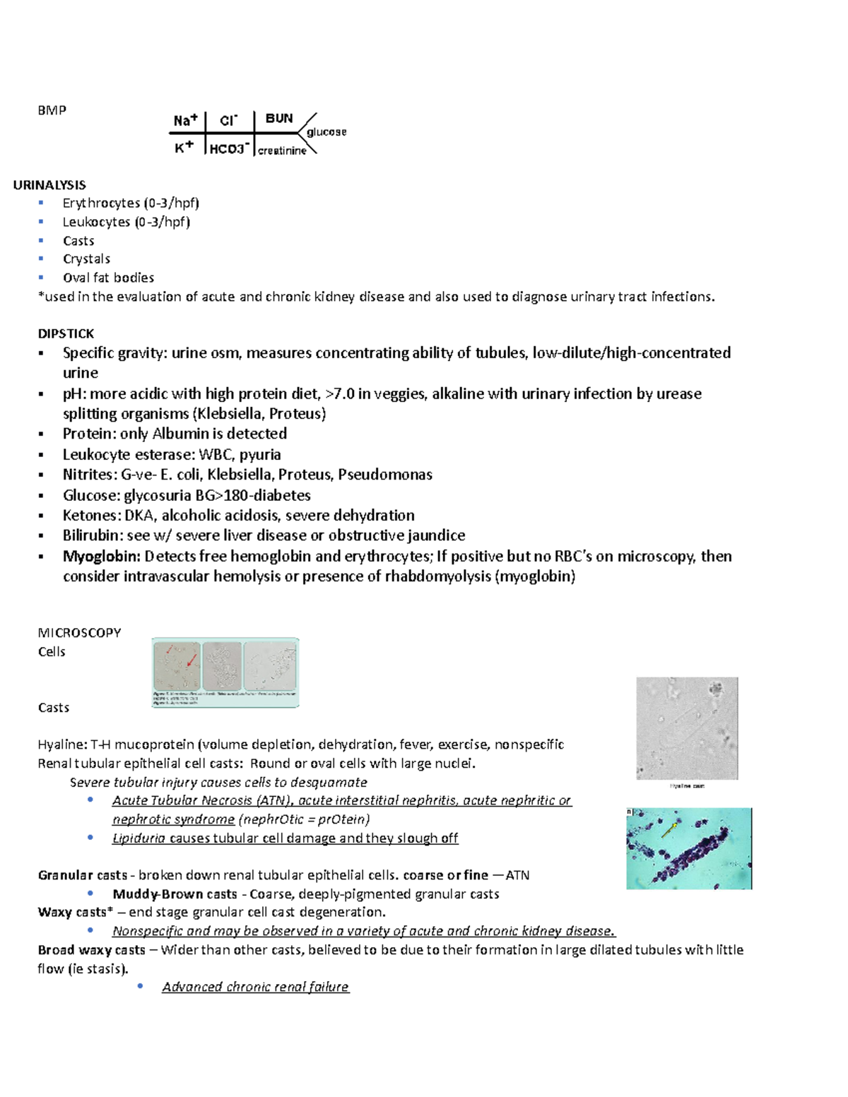 Renal ICM - ICM - BMP URINALYSIS Erythrocytes (0-3/hpf) Leukocytes (0-3 ...