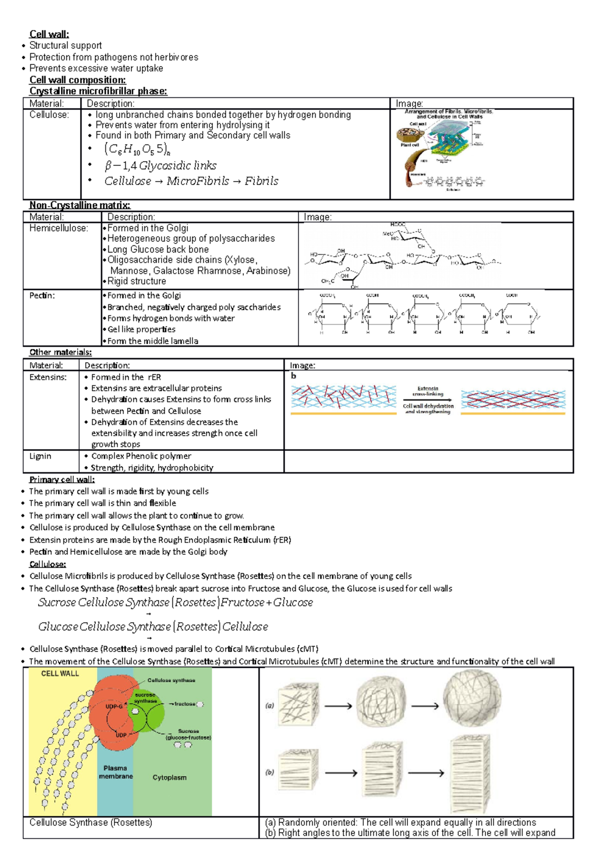 CELS 191 - Lecture 14 (Plant Cell Walls- Structure and Function) - Cell ...