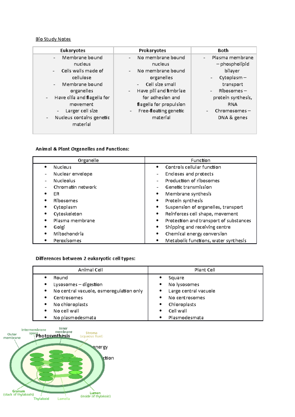 Bio Study Notes - Bio Study Notes Eukaryotes Prokaryotes Both Membrane ...
