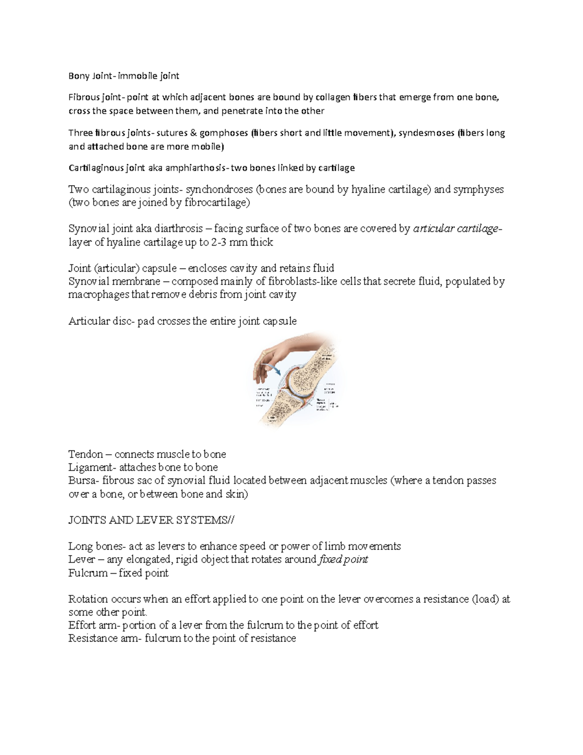 biology - joints - Bony Joint- immobile joint Fibrous joint- point at ...