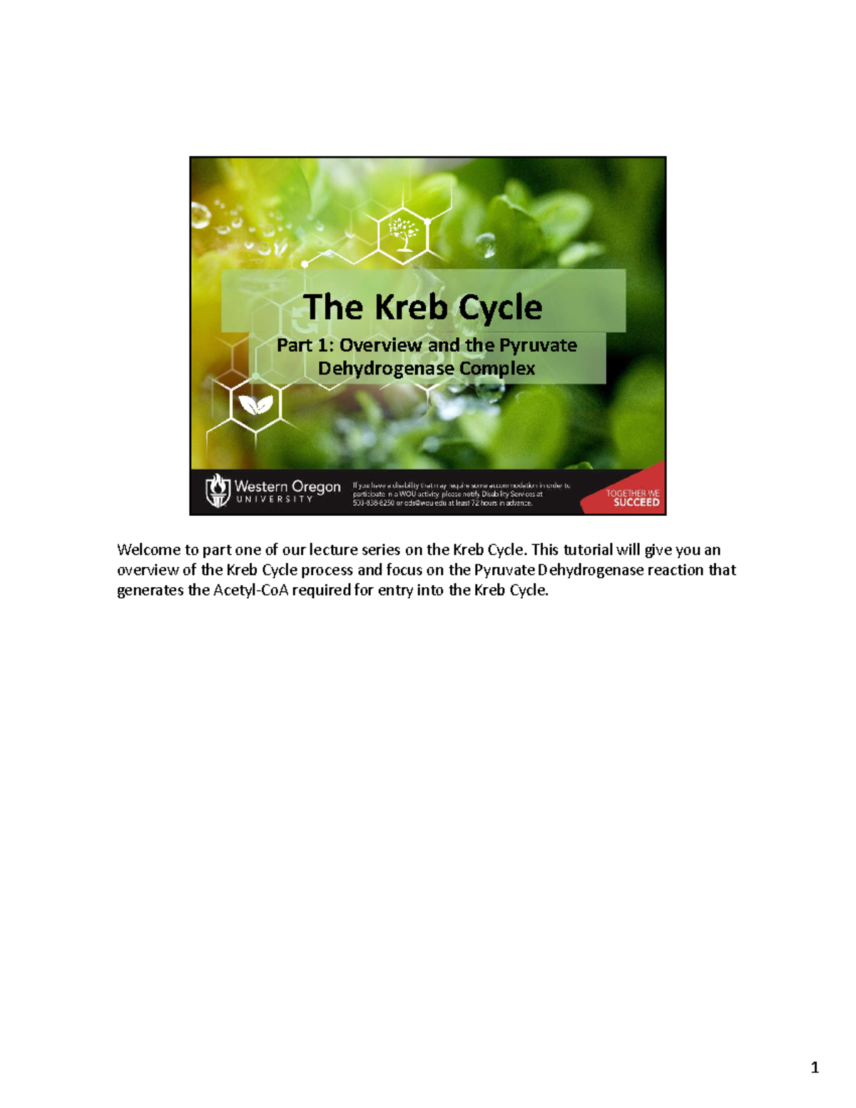 Kreb Cycle Part 1 PDH Complex - The Kreb Cycle Part 1: Overview and the ...