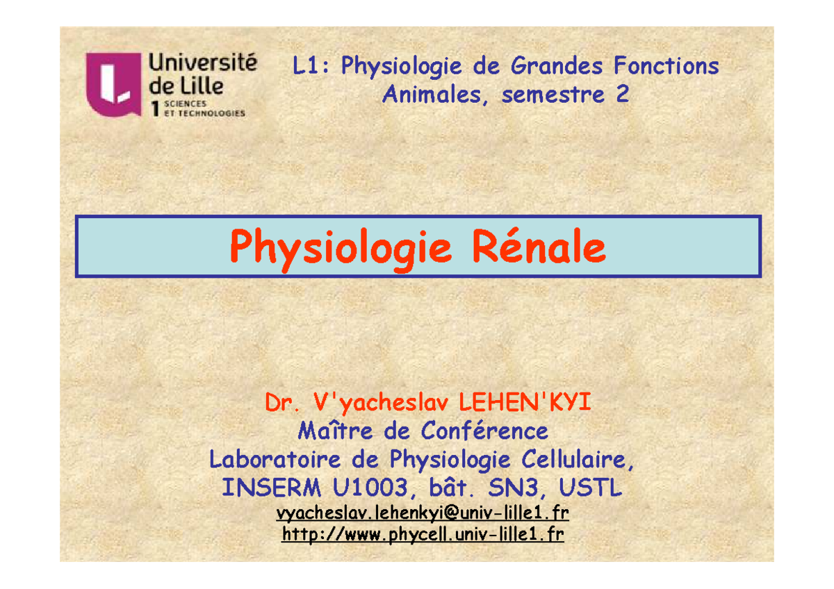 Fonction rénale - ####### L1: Physiologie de Grandes Fonctions ...