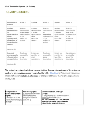 Anatomy and Physiology-1 - Anatomy and Physiology The endocrine system ...