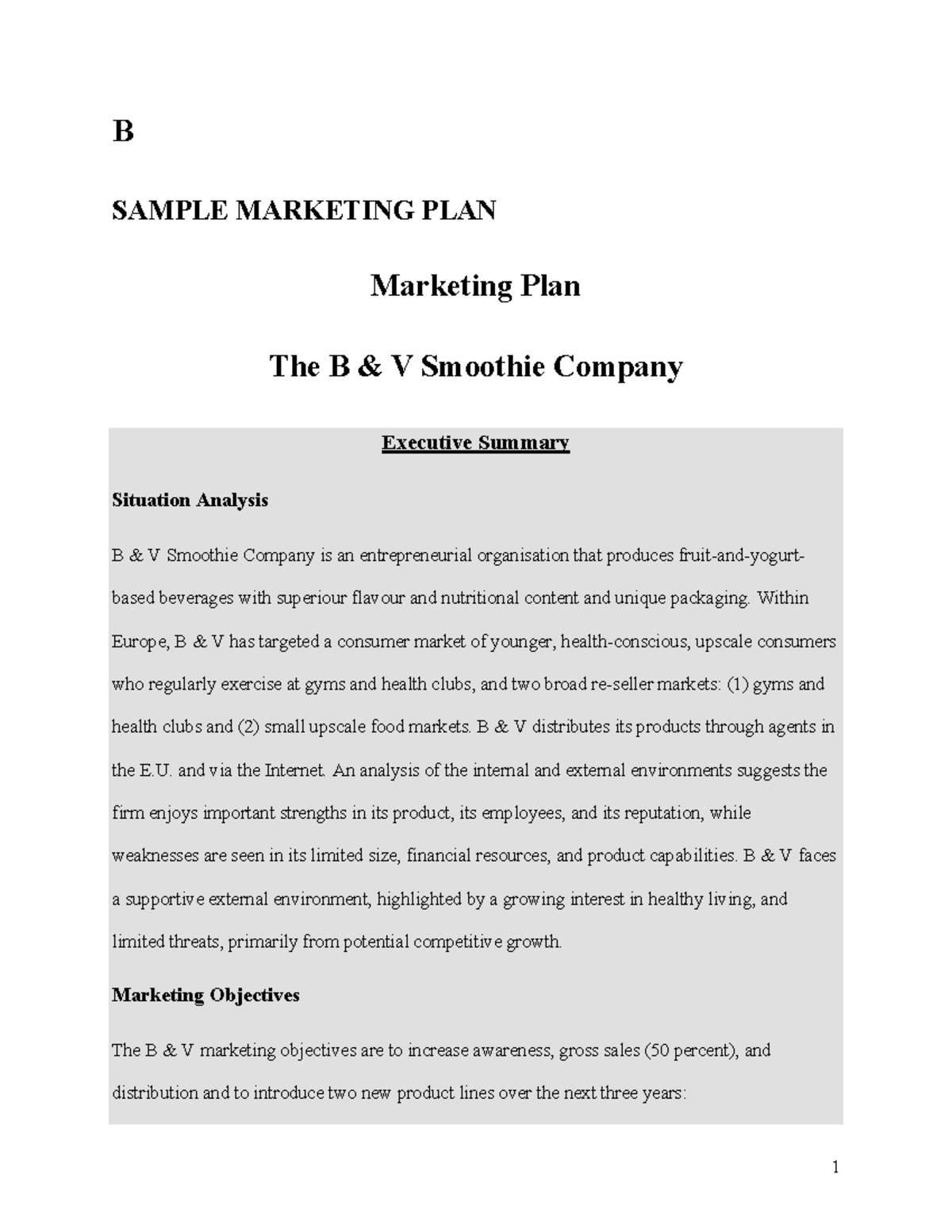 Example Marketing Plan B & V Smoothie - B SAMPLE MARKETING PLAN ...
