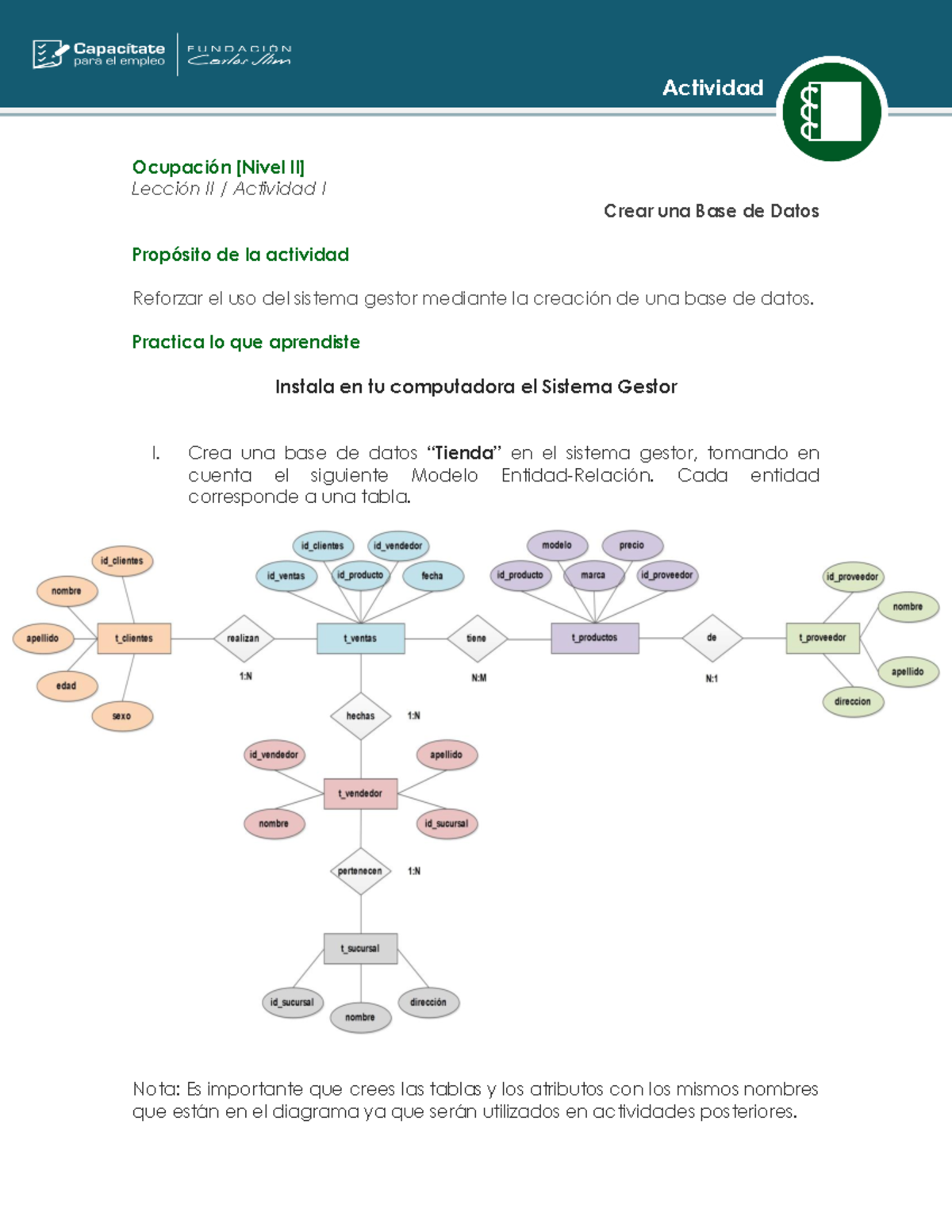 Creación Y Manejo De La Base De Datos Actividad Ocupación [nivel Ii