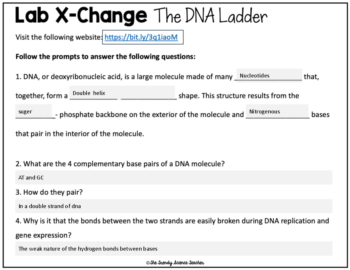 Intro to DNA Replication Interactive Activity on 2024-05-08 09 10 57 ...