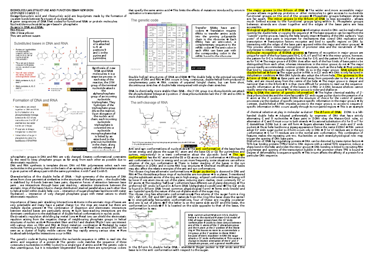 Biomolecular Structure And Function Exam Revision Biomolecular