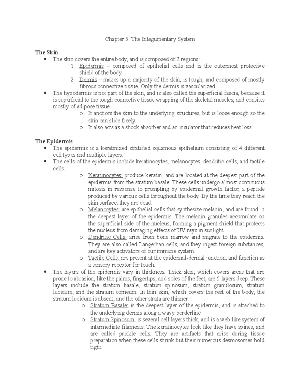 Chapter 5 - Integumentary System - Chapter 5: The Integumentary System ...