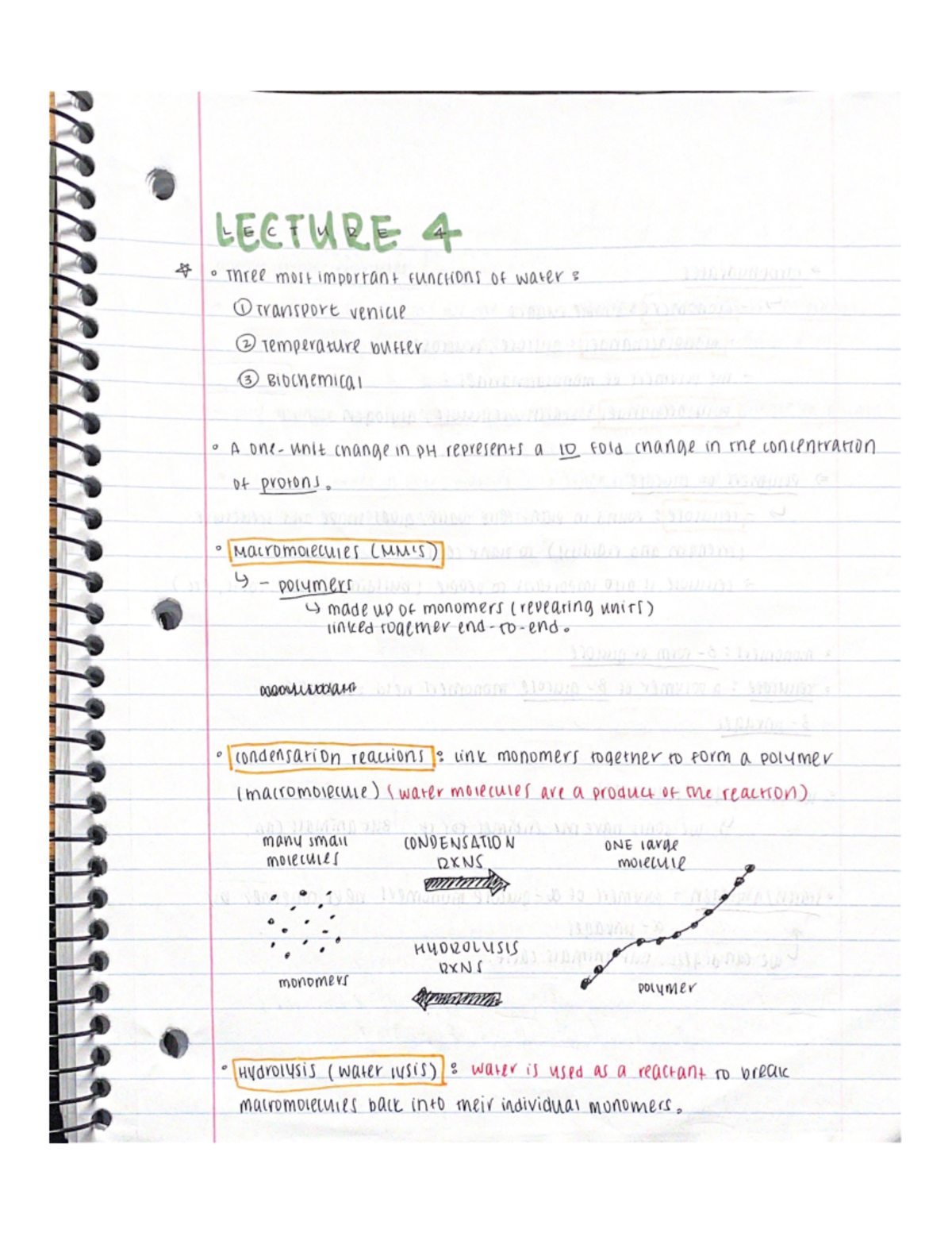 Bio 111 Lectures 4-6 Notes - BIO 111 - Studocu