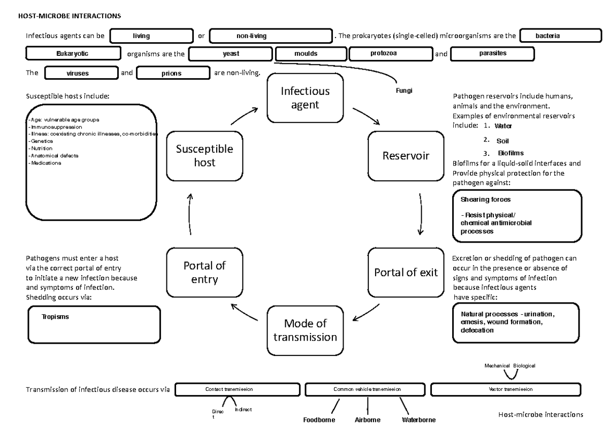 Host microbe interactions - Host-microbe interactions Infectious agents ...