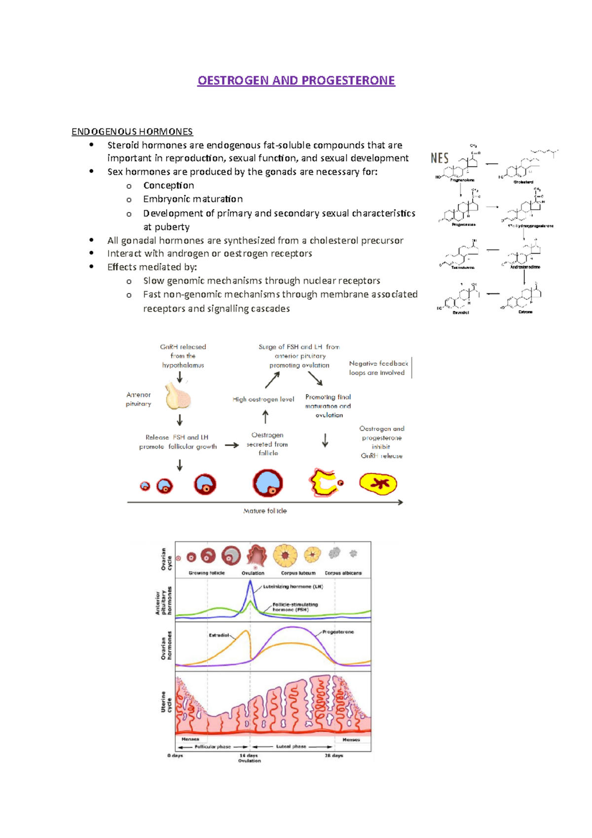 Oestrogen and progestin - OESTROGEN AND PROGESTERONE ENDOGENOUS ...