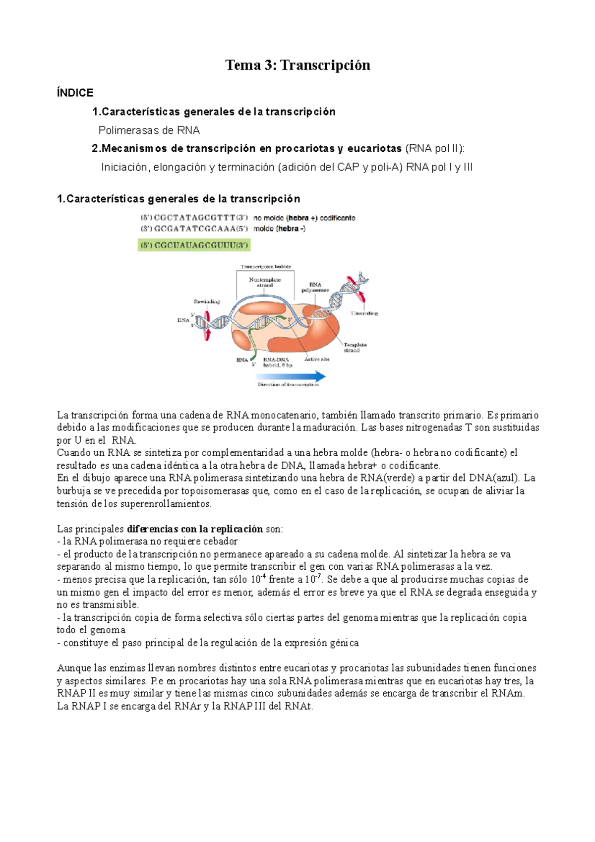 Tema 3 Transcripción - Apuntes 3 - Tema 3: Transcripción ÍNDICE ...