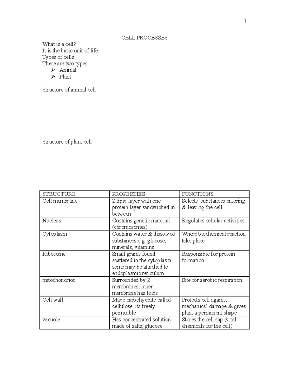 CELL Processes - Physical Education - CELL PROCESSES What is a cell? It ...
