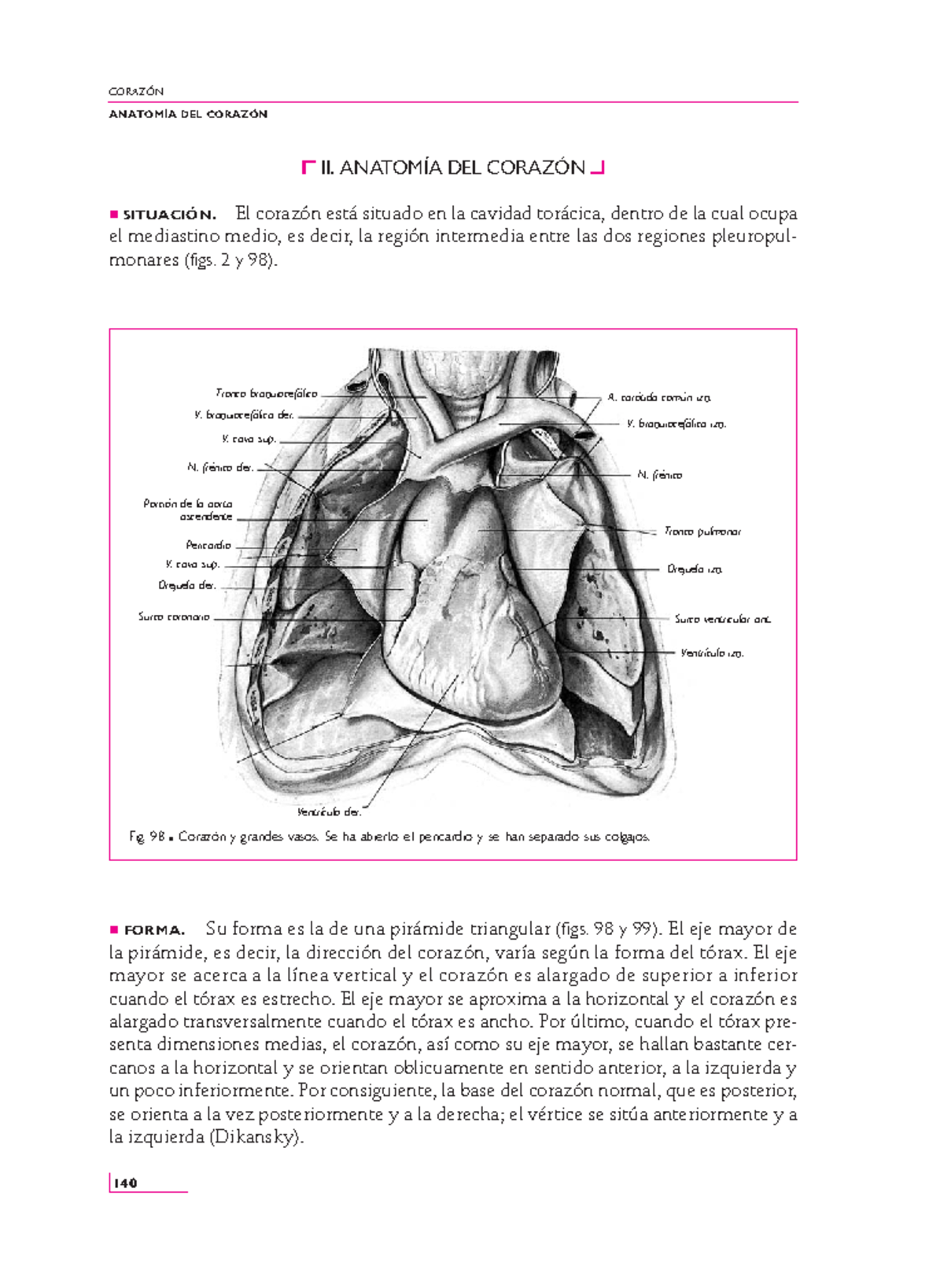 TOMO 2- Rouviere-202-243 - 7 II. ANATOMÍA DEL CORAZÓN 0 J SITUACIÓN. El ...