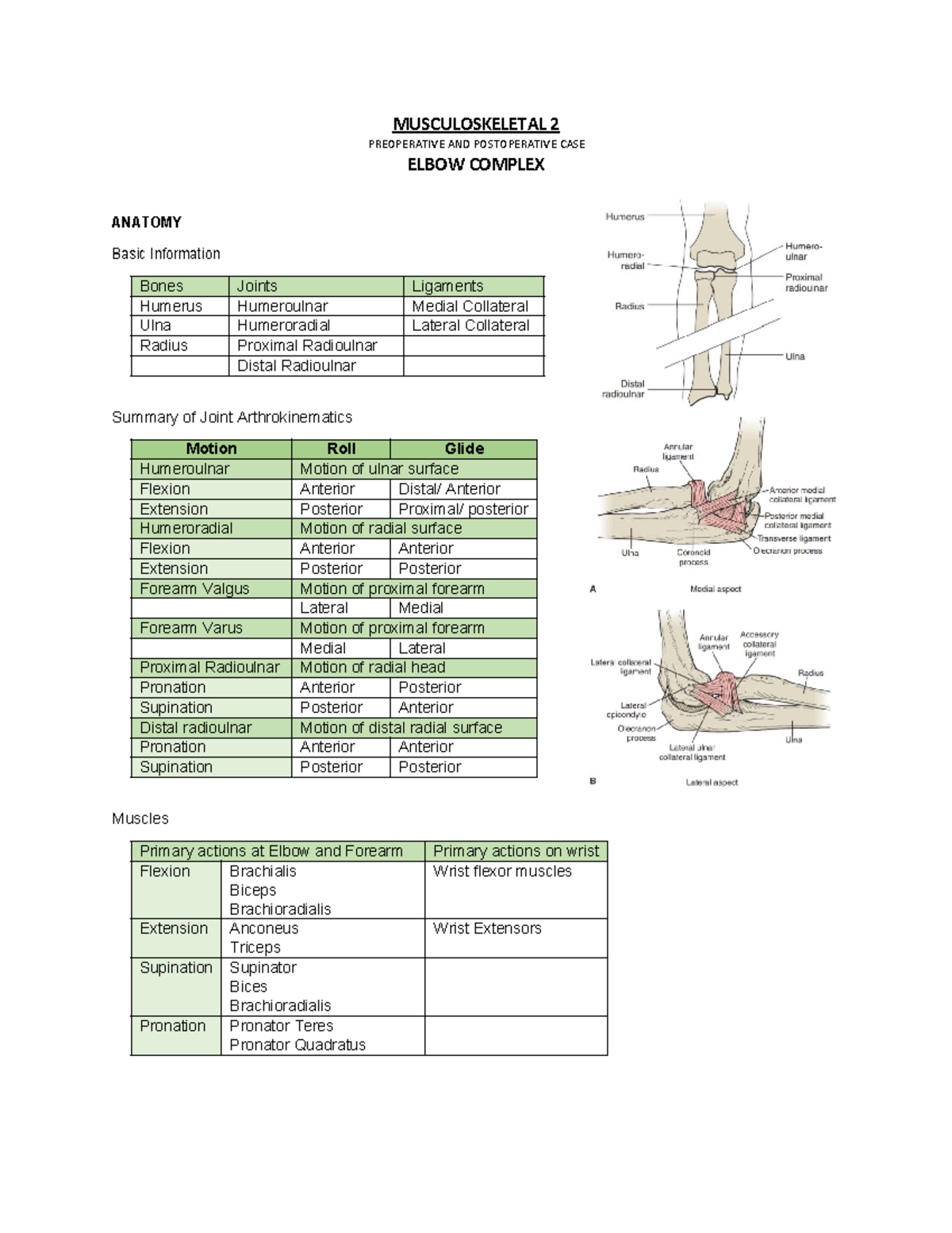 Elbow Complex Notes - Physical Therapy - Studocu