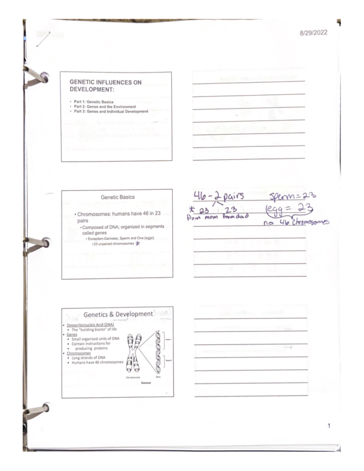 Chapter 3 notes - PSY 9 - Studocu