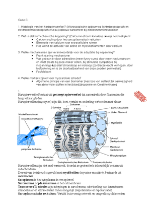 Anatomie Station heup - SIAS SIPS Crista Iliaca Ala ossis ilii Os ...