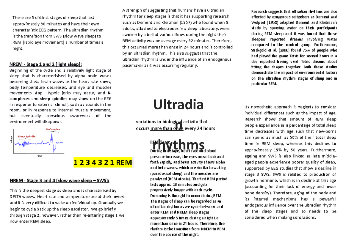 Ultradian rhythms mindmap - 1 2 3 4 3 2 1 REM REM Sleep: During this ...