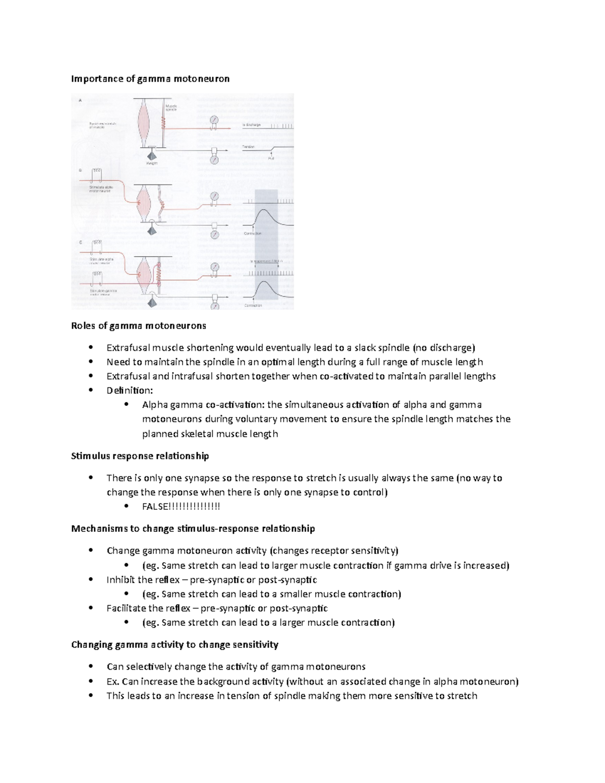 KIN 255; Notes 2 - Importance of gamma motoneuron Roles of gamma ...