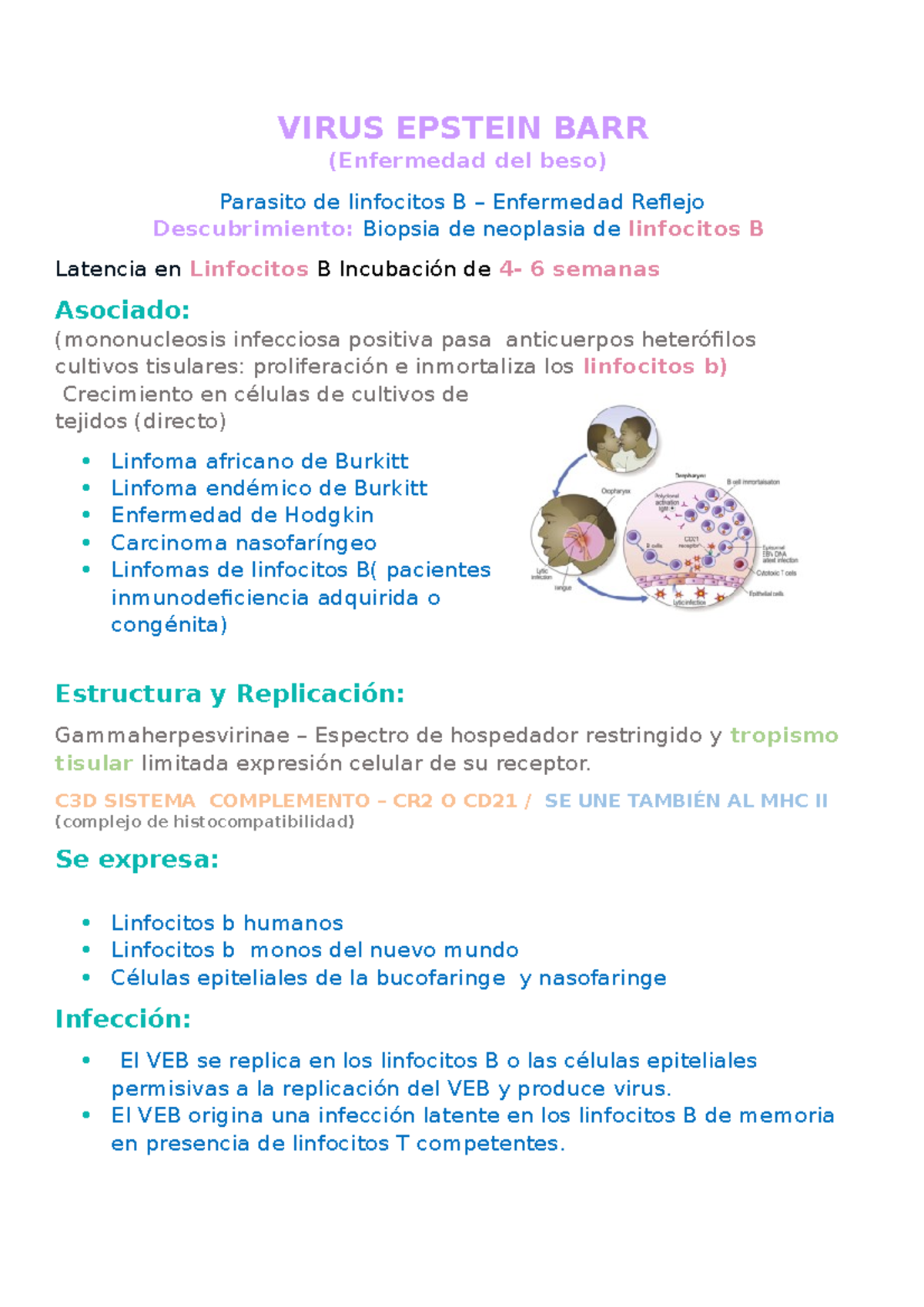 Virus Epstein BARR - VIRUS EPSTEIN BARR (Enfermedad del beso) Parasito ...