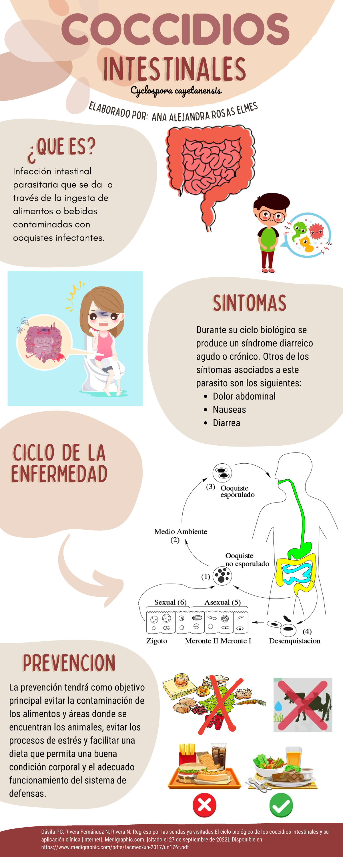 Infografia Coccidios Intestinales - INTESTINALESINTESTINALES ...