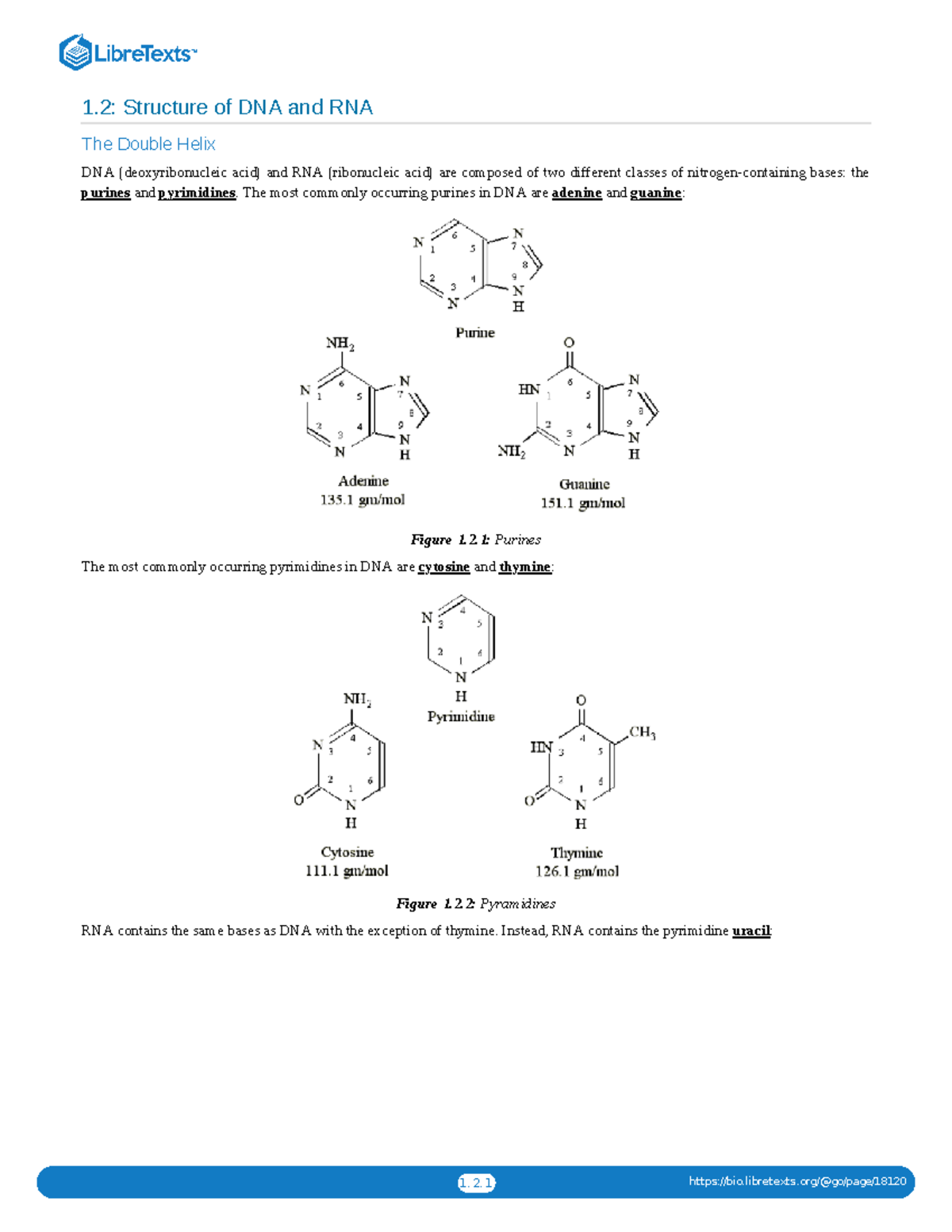 1 - Compelete - 1: Structure of DNA and RNA The Double Helix DNA ...