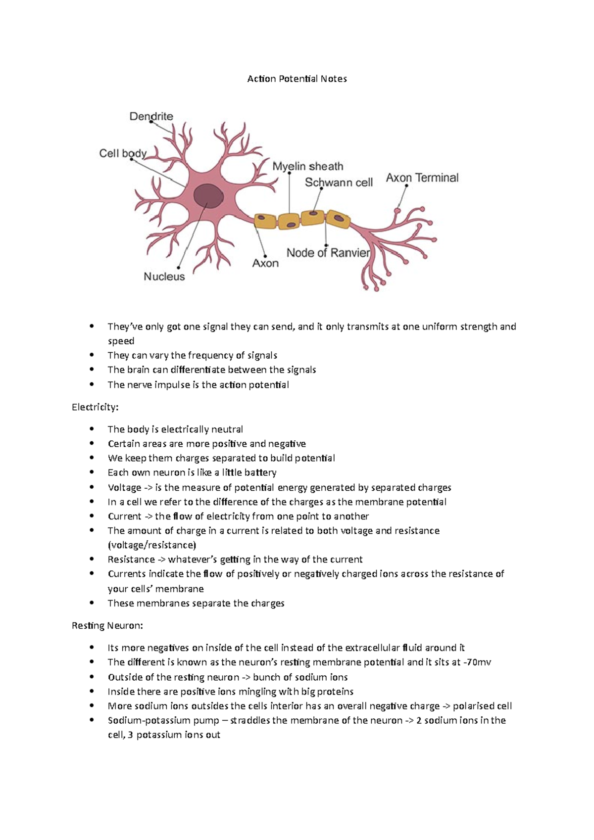 Action Potential Notes - sodium ions Ligand-gated channels -> opens ...