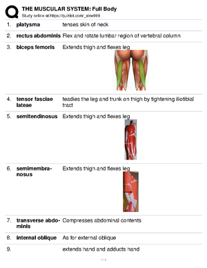 Exercise 5-Types of Transport Processes - Exercise 5—Types of Transport ...