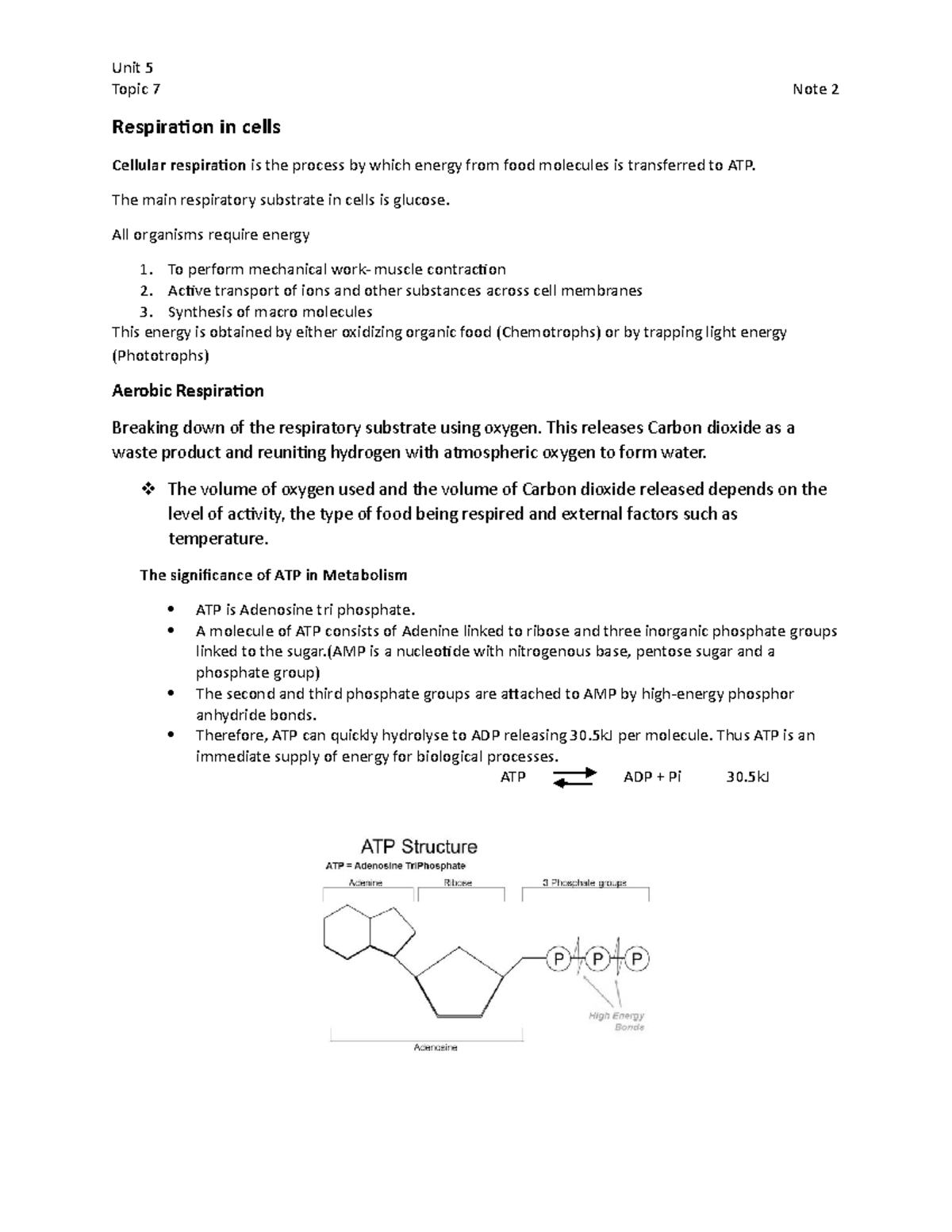 Note 2 Respiration in cells - Topic 7 Note 2 Respiration in cells ...