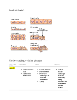 Bar Charts Quick Study Medical Terminology Basics - A. Development ...