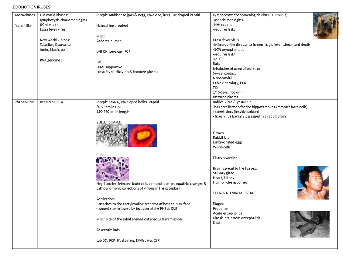 Zoonotic - ZOONOTIC VIRUSES Arenaviruses “sand” like Old world viruses ...