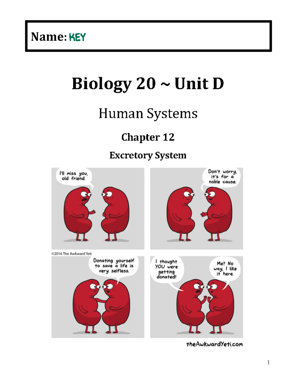 KEY Chapter 12 (Excretory System) Workbook - Biology 20 ~ Unit D Human ...