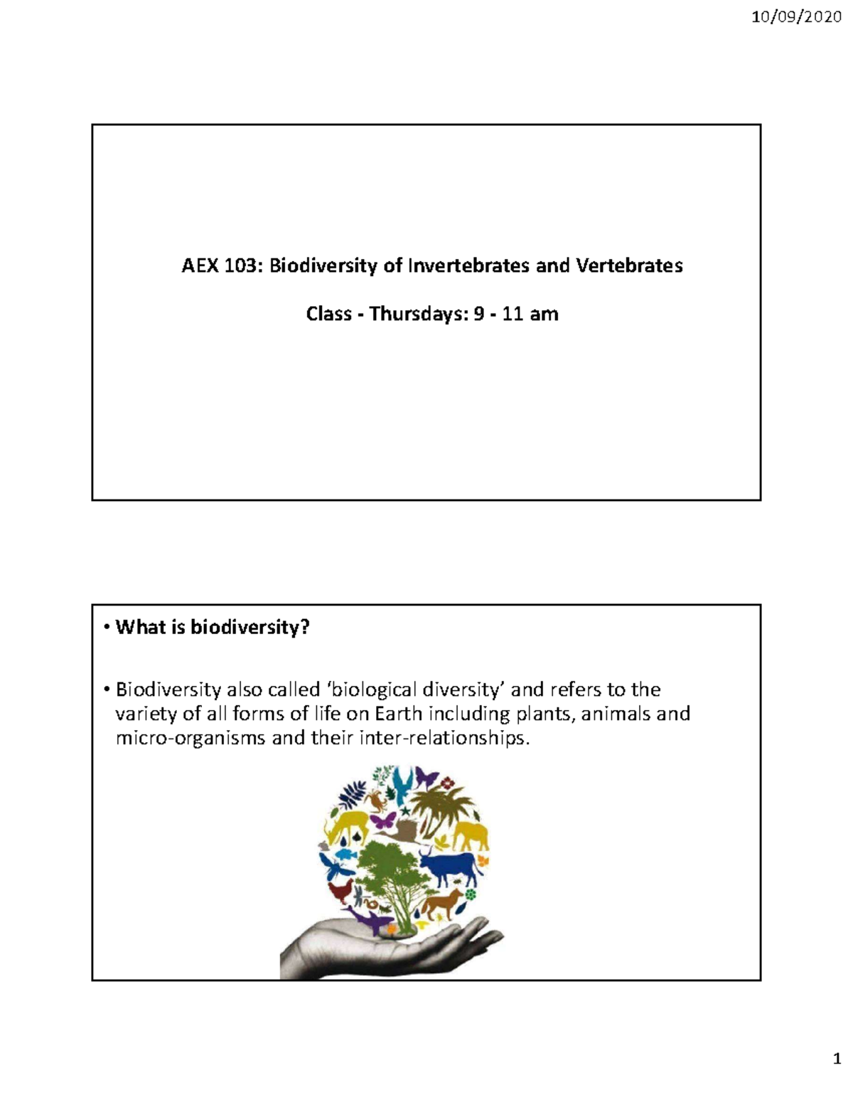 Vertebrates Lecture Notes