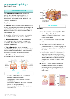 LAB Anaphy Worksheet 1 Reviewer - ANATOMY AND PHYSIOLOGY LABRATORY ...