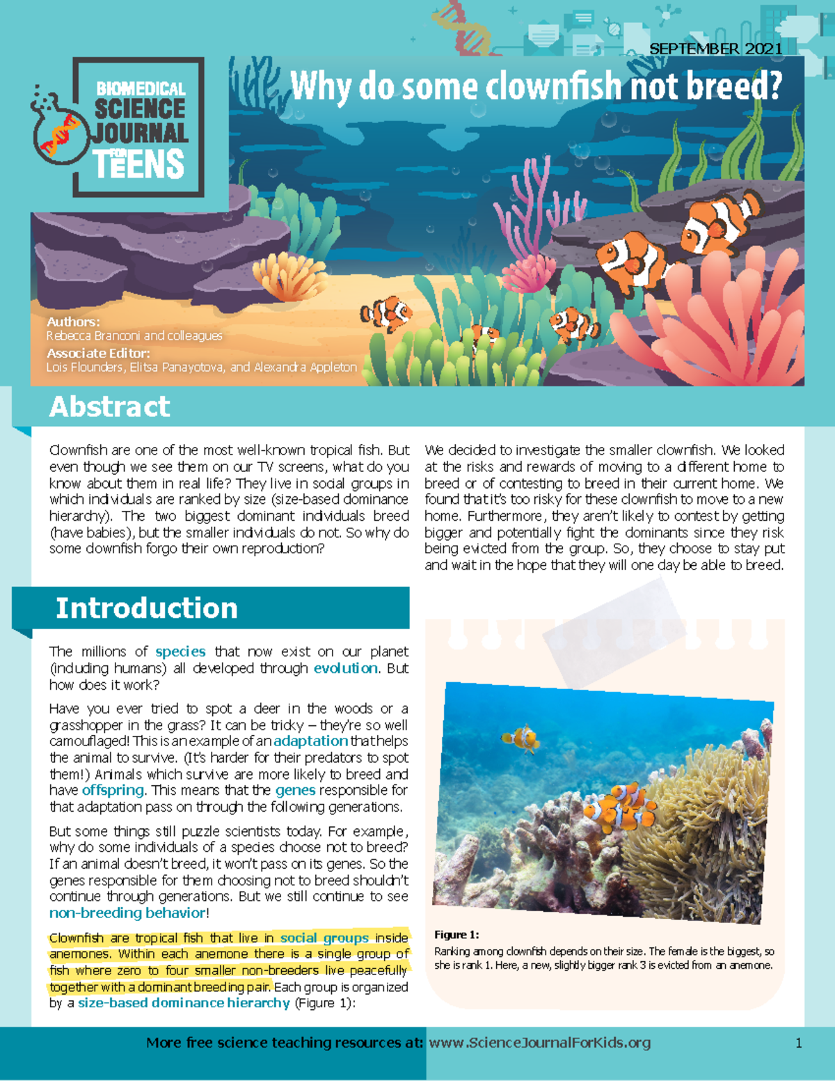 Clownfish article - December 2017 Authors: Susan Crow, Meghan Pawlowski ...
